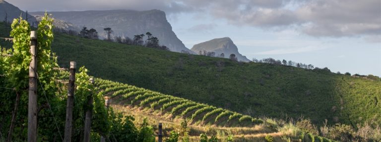 about us - Groot Constantia