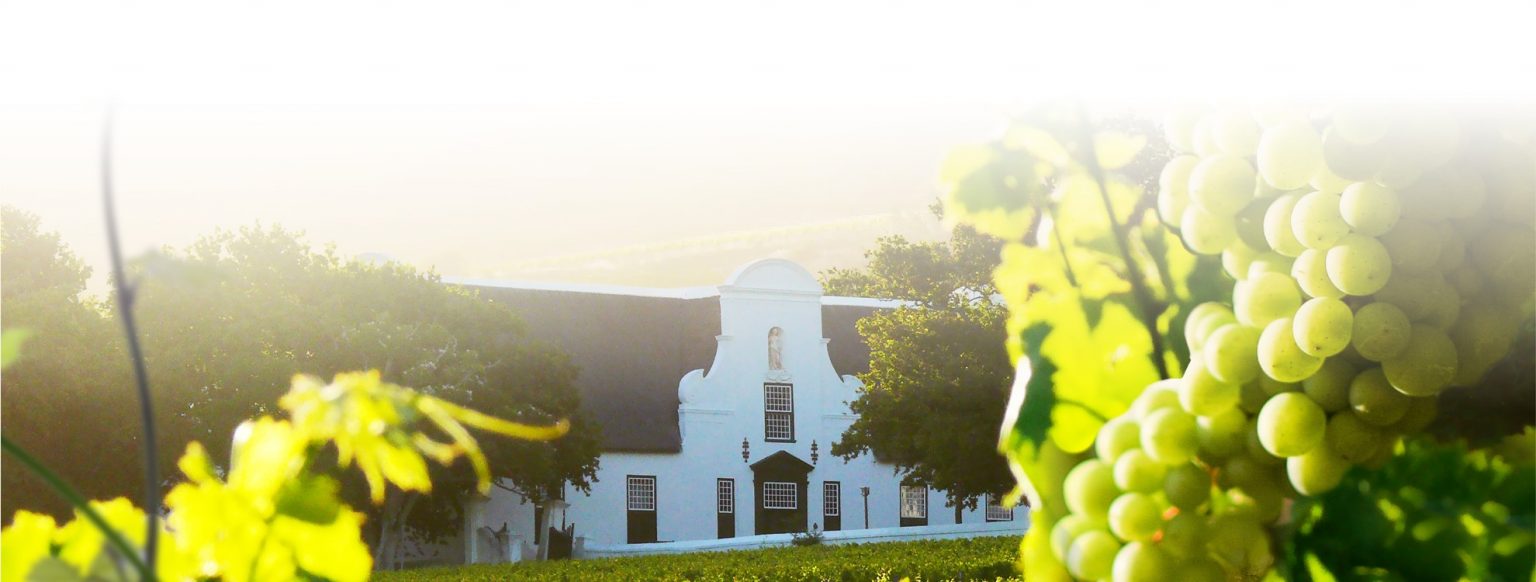 Groot Constantia Wine Farm